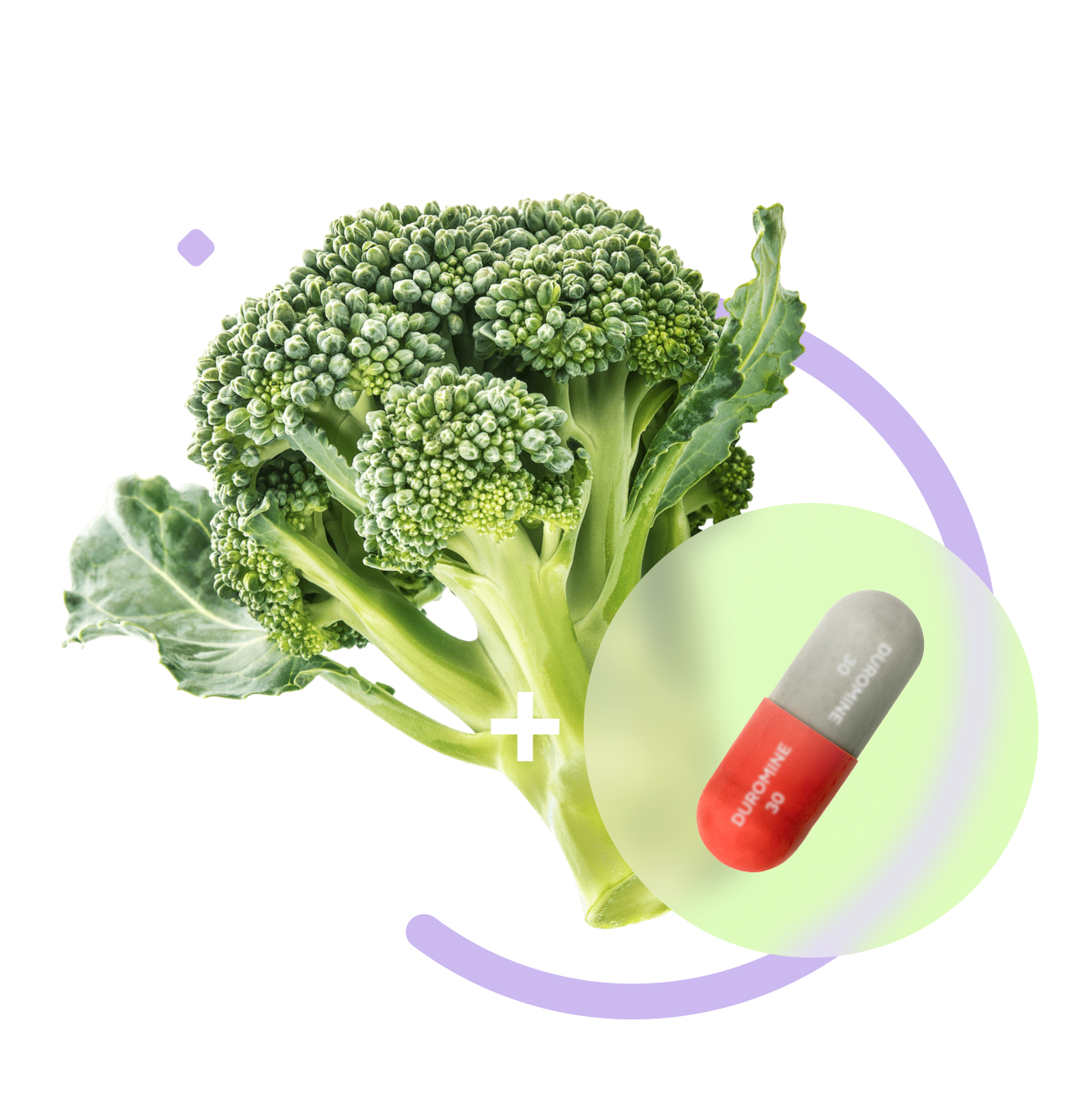 Duromine diet plan – get your personalized weight loss eating plan now